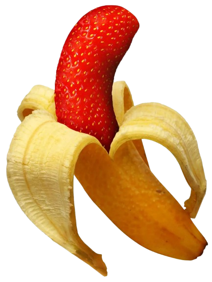 Bananas are berries